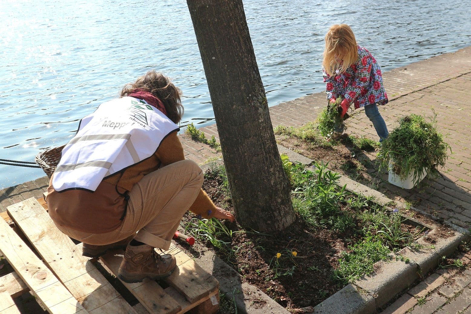 Boomspiegel en geveltuin - Meppel Duurzaamheid